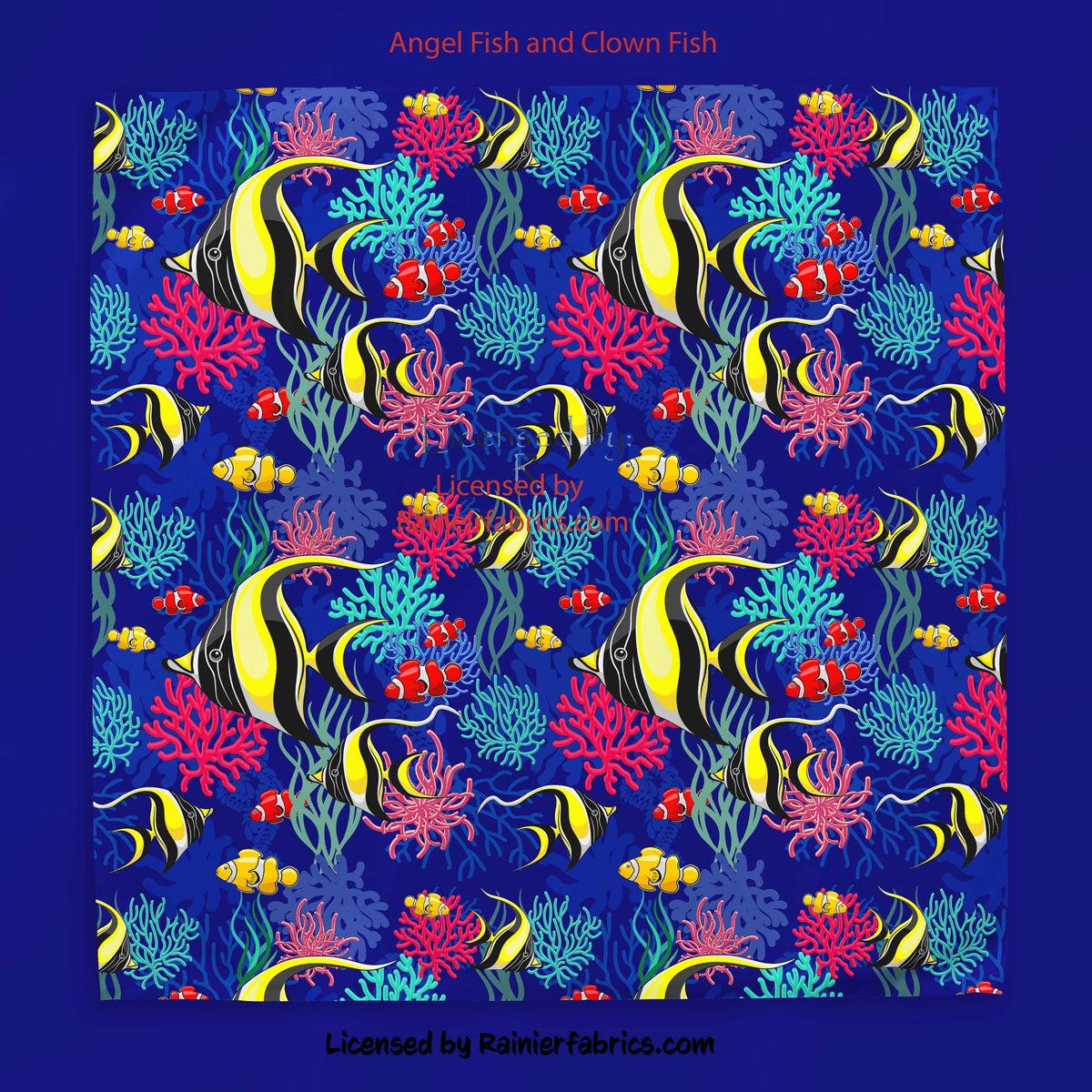 Angel Fish and Clown Fish - 2-5 business days to ship - Order by 1/2 y ...